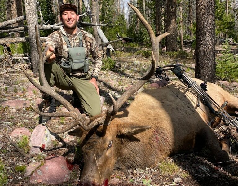 6 Day Drop-Camp Elk Hunt | Archery | Utah - HuntAnywhere